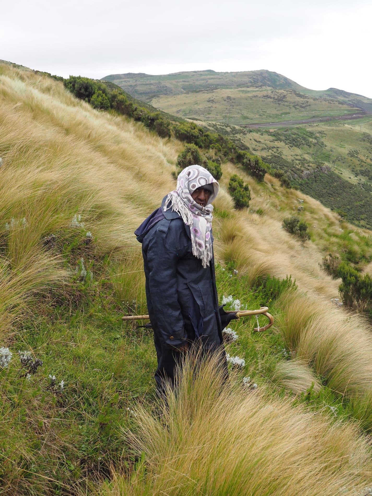 Trouvaille bynativ : la communauté de Guassa en Ethiopie - En mode local